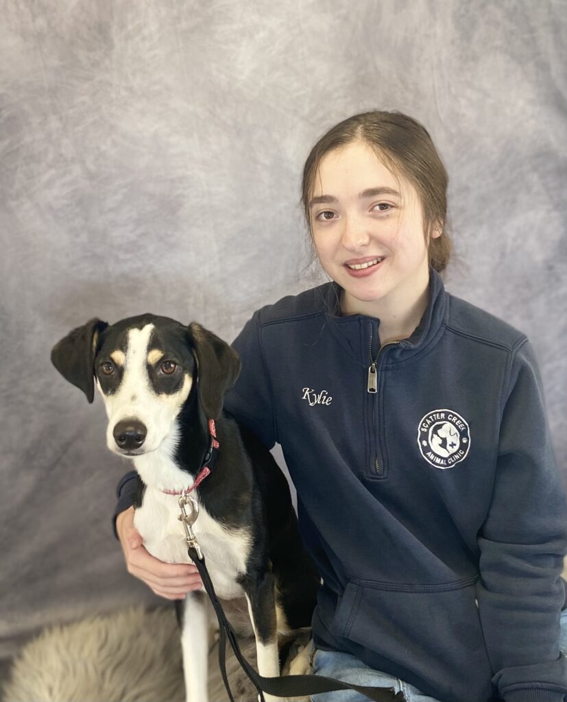 About Us – Scatter Creek Animal Hospital